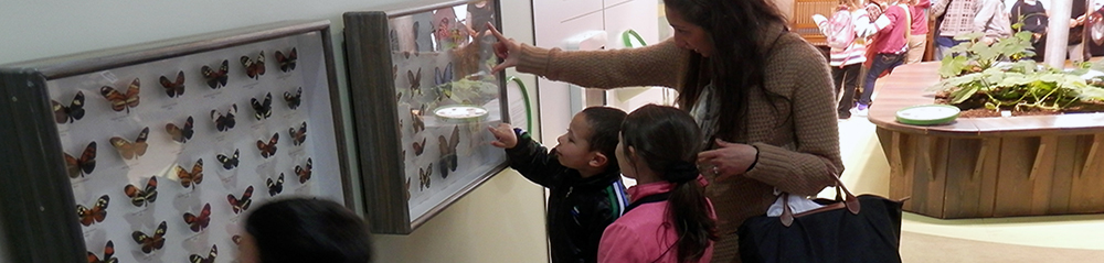 Ecole bilingue musulmane EVA de Vitray